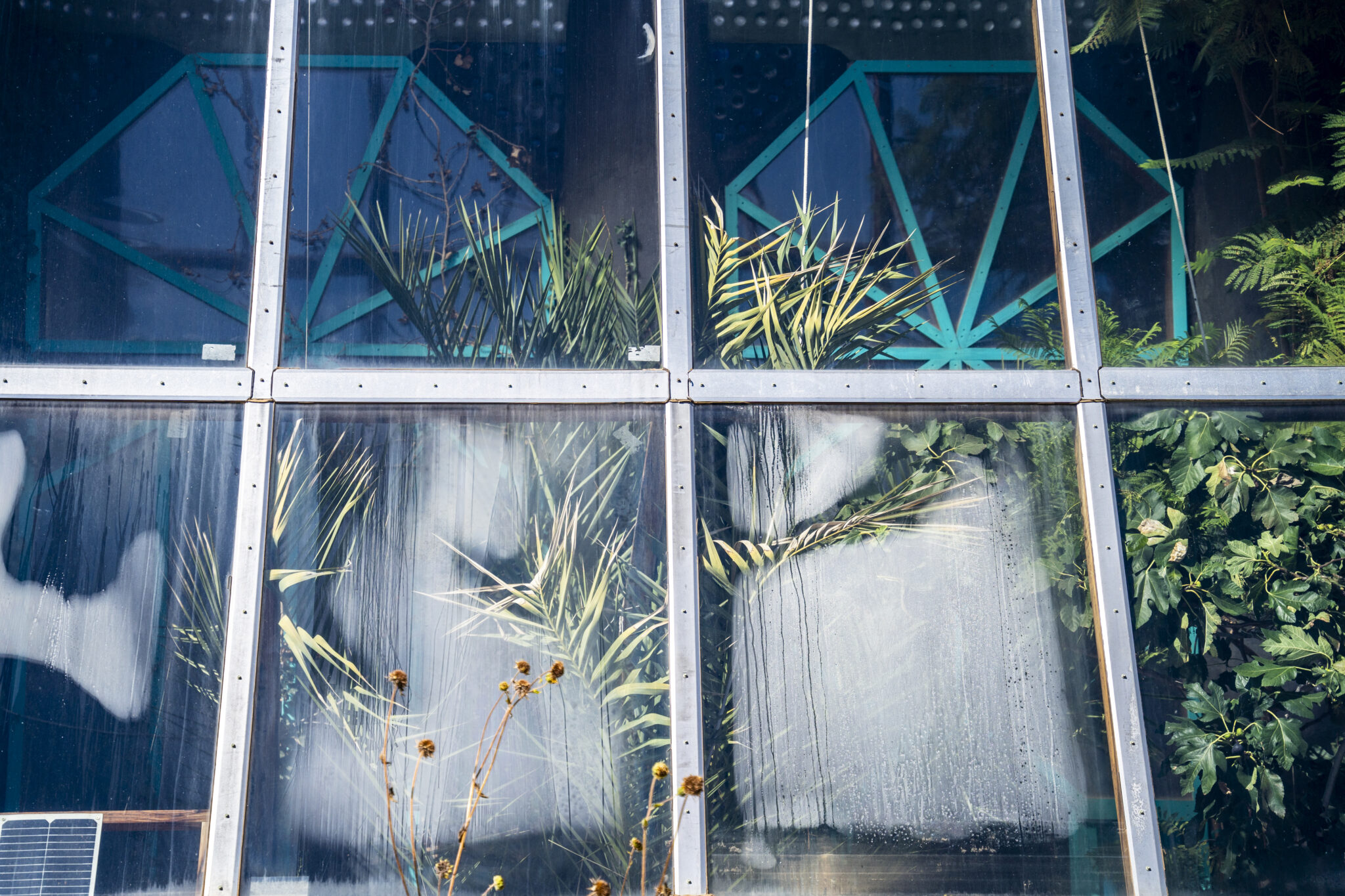 Ship Shape - Discover Taos